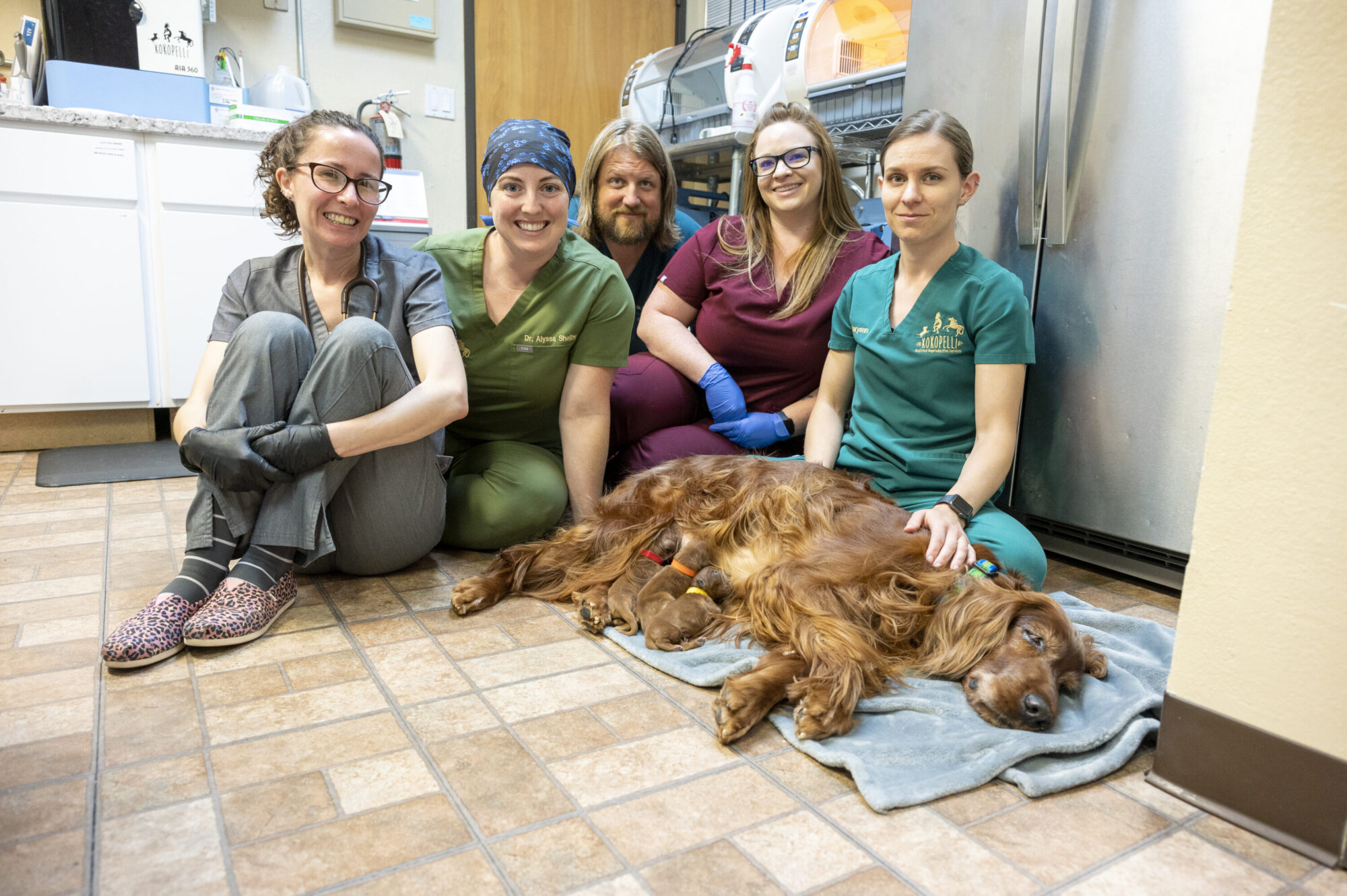 Veterinarians in Sacramento CA | Kokopelli Assisted Reproduction Services